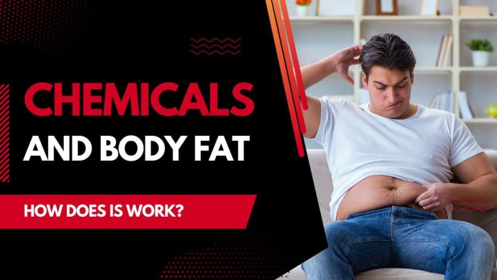 5 Exercises to Get Rid of Belly Fat